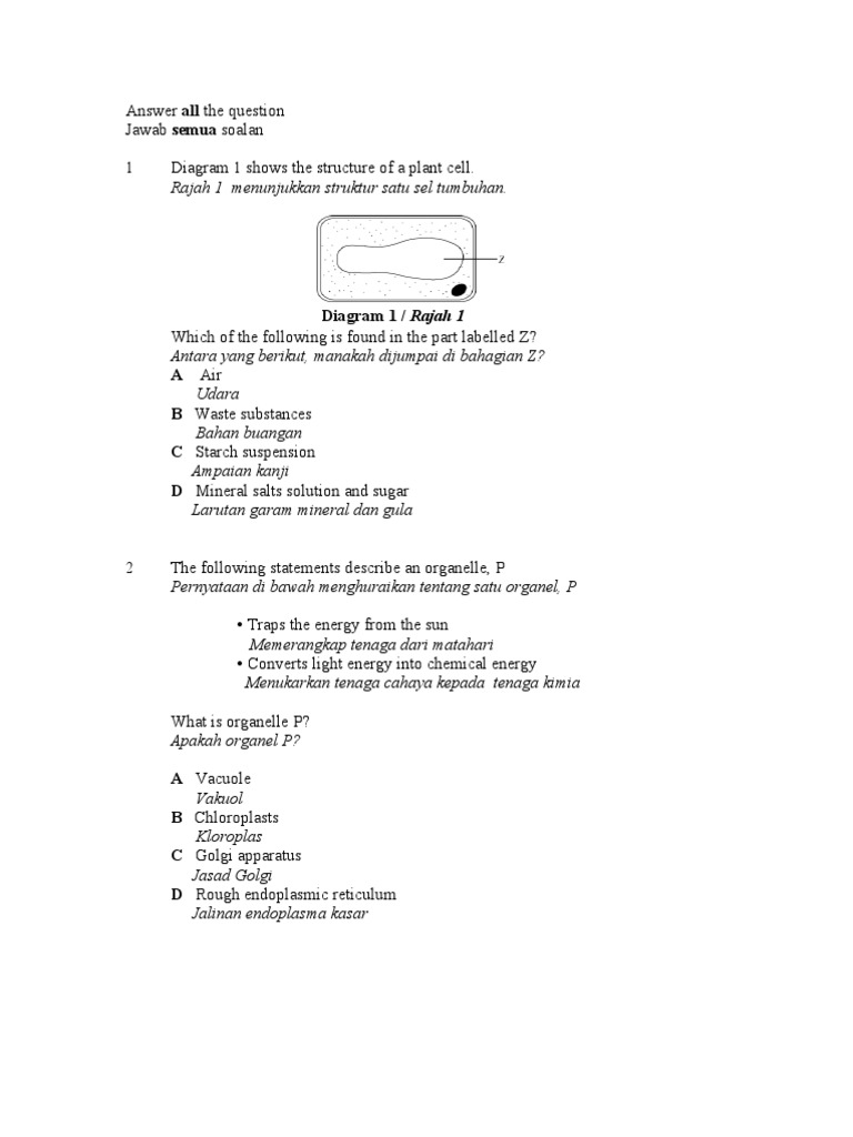 Plant Cell Structure and Functions Quiz | PDF | Cell Membrane | Enzyme
