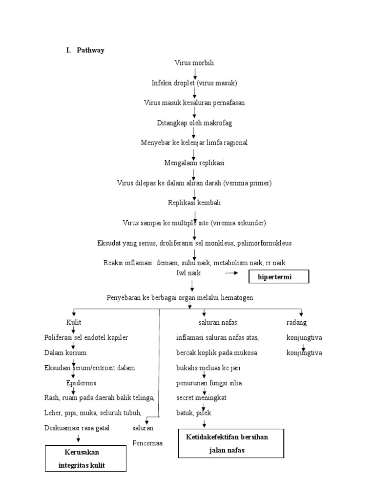 Pathway Morbili | PDF