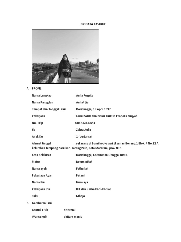 CV Aulia | PDF