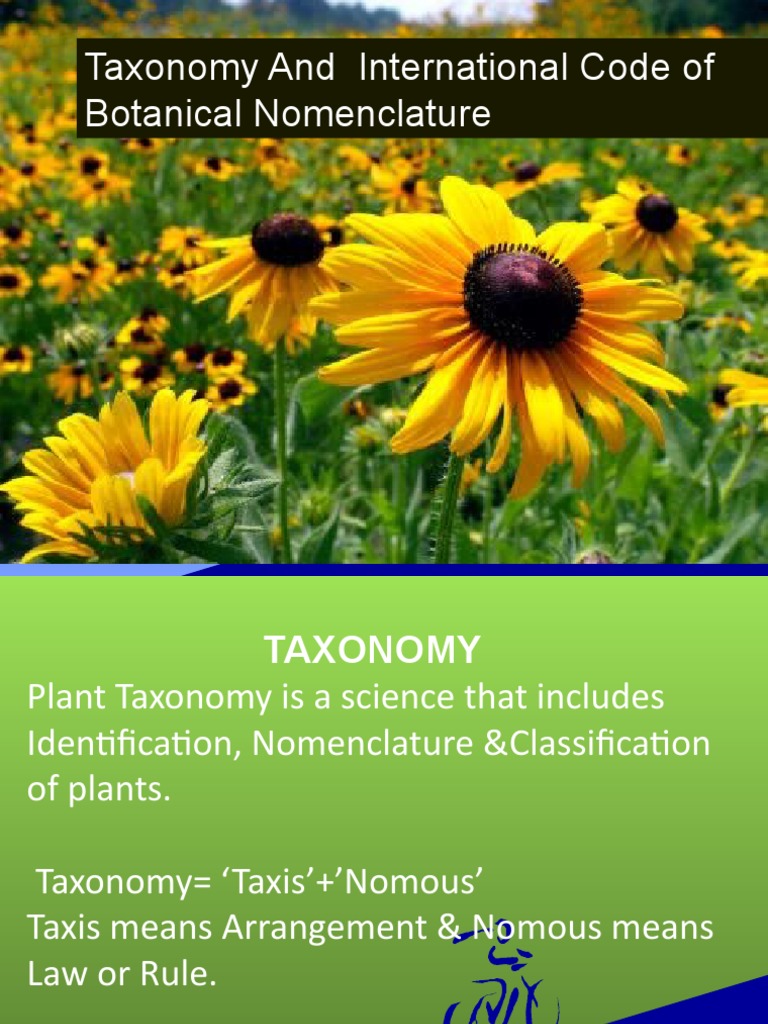 Materi Taksotum Binomial Nomenklatur | PDF | Genus | Botanical Nomenclature