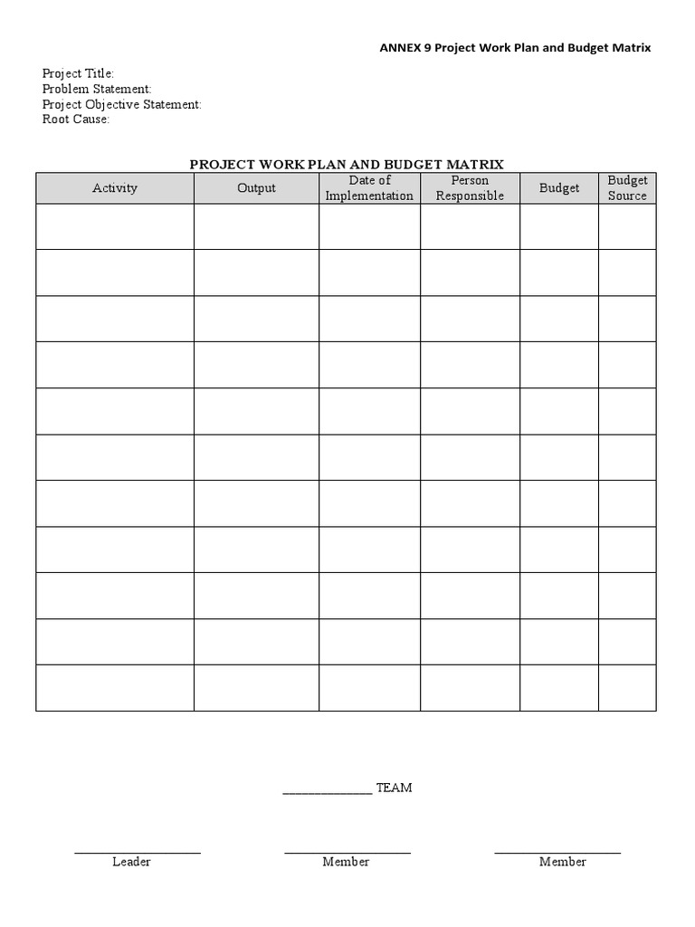 SIP Annex 9 Project Work and Budget Matrix | PDF