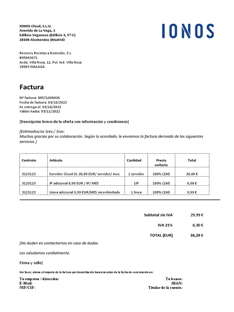 Modelo Factura Ionos | PDF