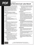 Colilert - 18 E-Coli Detection Manual | PDF | Microbiology | Bacteria