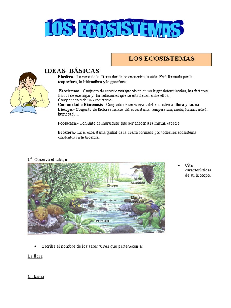Los Ecosistemas | PDF | Ecosistema | Red alimentaria