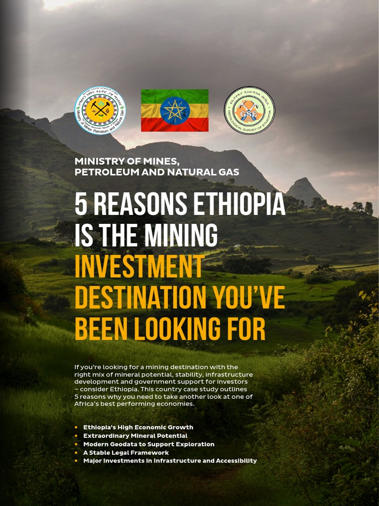 Ethiopia Country Case Study Mining Sector Feb 2018 | PDF | Mining ...