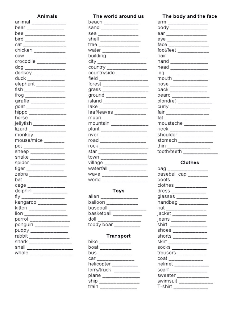 movers word list | PDF