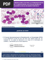 Reporte de Extendido de Sangre Periférica | PDF | Plaqueta | Leucocito