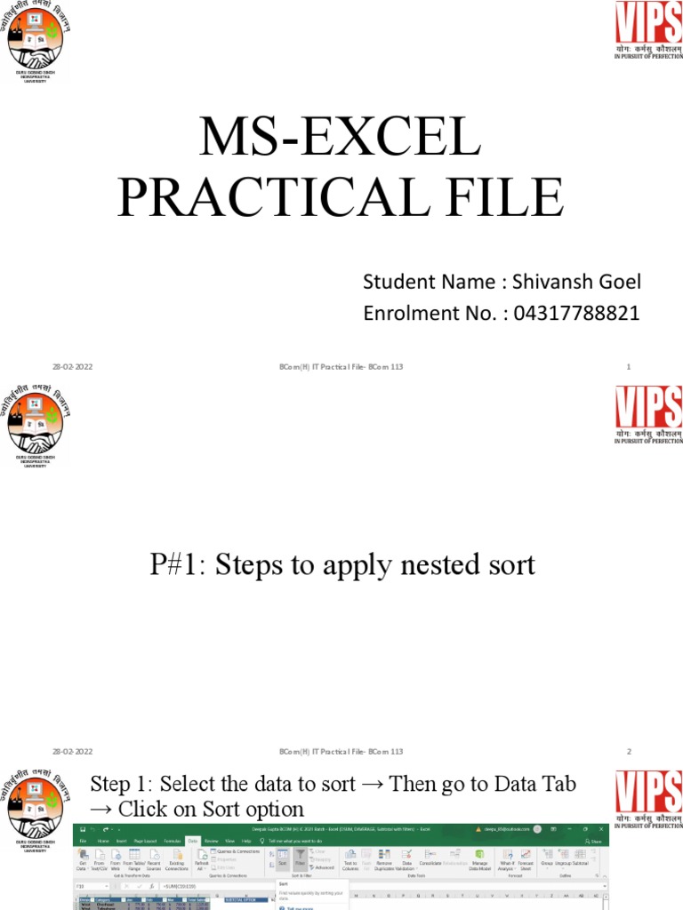 MS-Excel Practical File | PDF | Information Technology Management ...