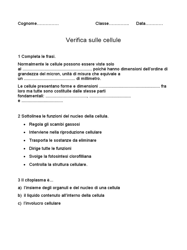 Verifica Sulla Cellula 1B | PDF