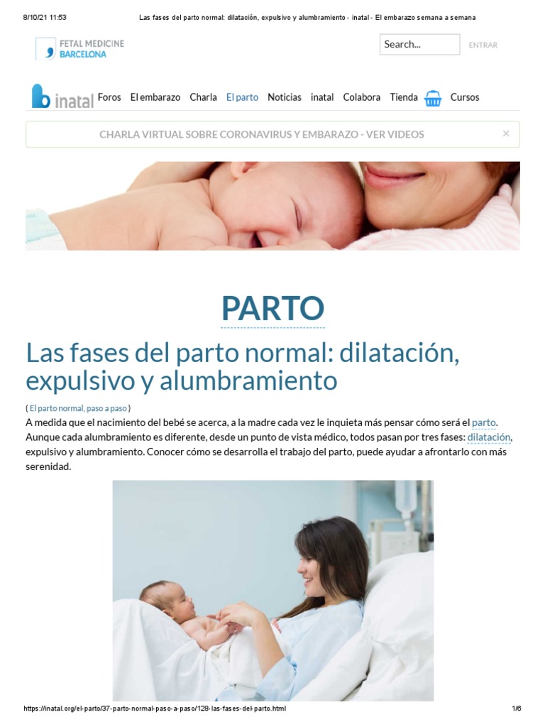 Las Fases Del Parto Normal - Dilatación, Expulsivo y Alumbramiento ...