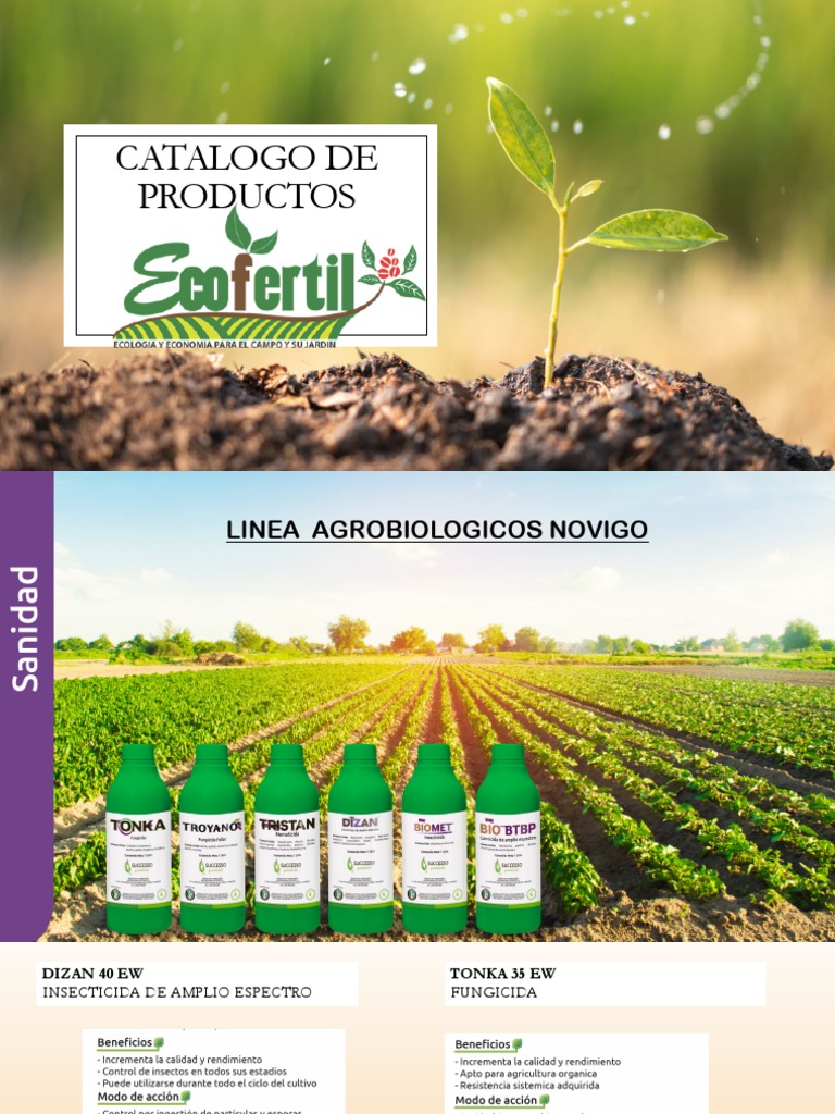 Investigacion ECOFERTIL DETALLE 2022 | PDF | Fertilizante | Insectos