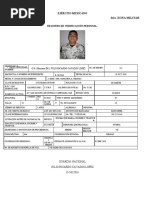 E5CINCO Formato Opcion 1 | PDF