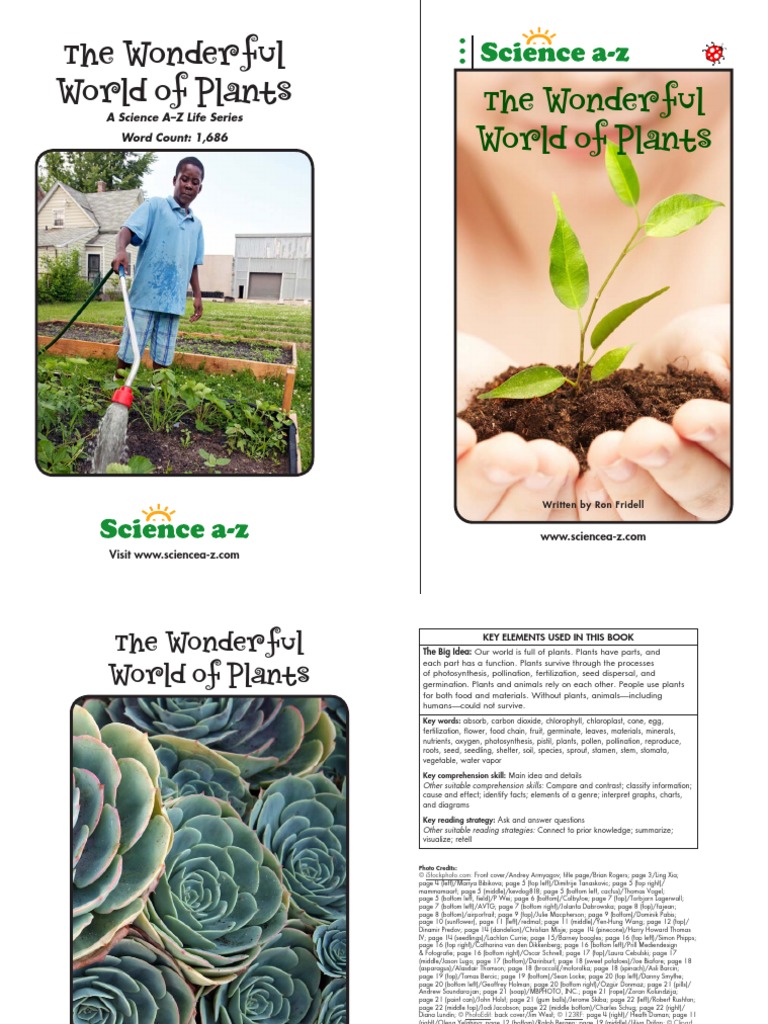The Wonderful World of Plants | PDF | Flowers | Plants
