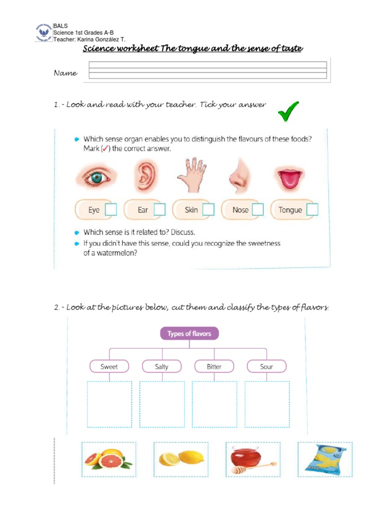 1st Grade Taste Sense Worksheet | PDF | Language Arts & Discipline