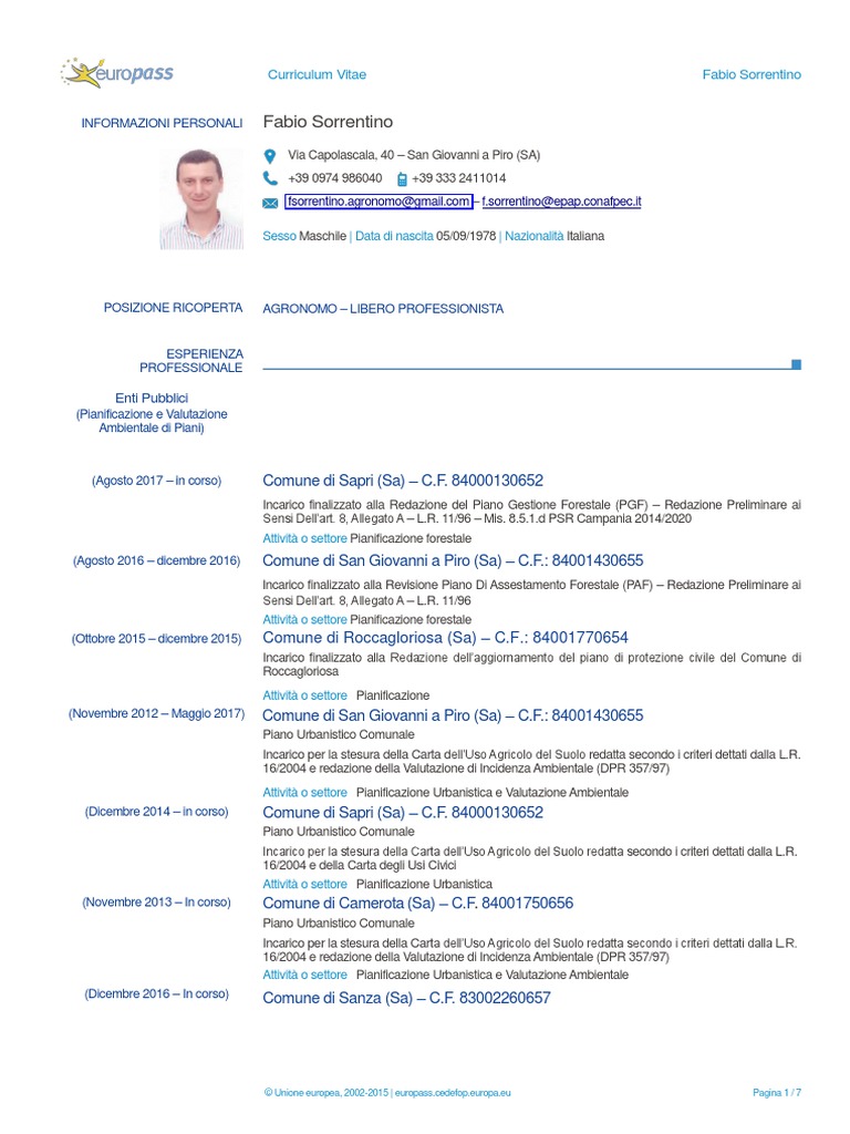 CV Fabio Sorrentino | PDF
