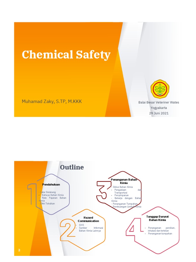 Chem Safety | PDF