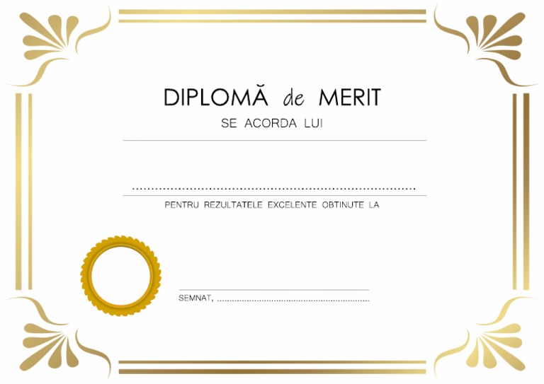 Diploma de Merit | PDF