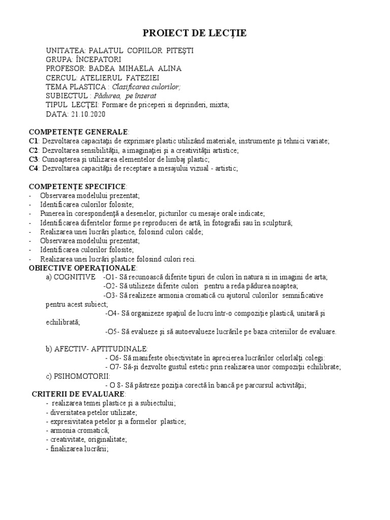 Plan de Lectie | PDF