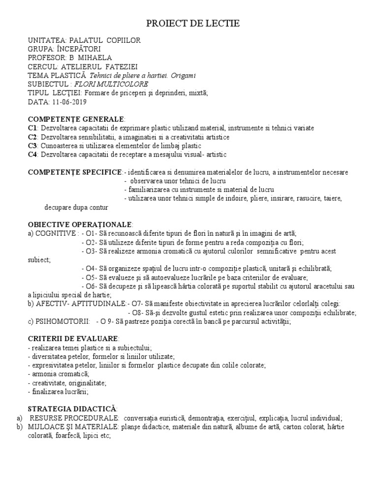 Plan de Lectie | PDF