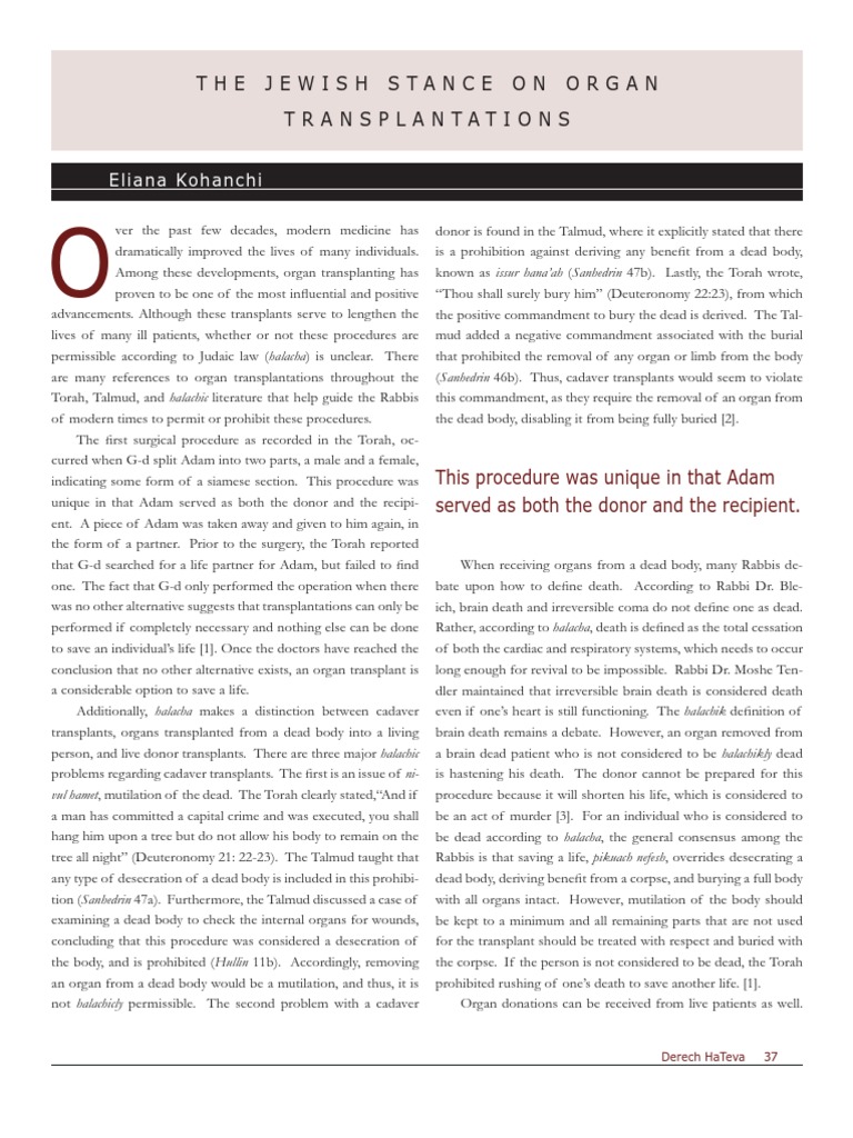 The Jewish Stance On Organ Transplantations | PDF | Organ Donation ...