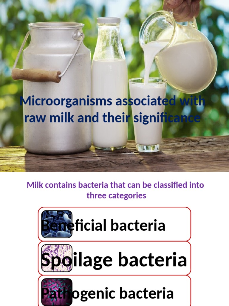 Microorganisms Associated With Raw Milk and Their Significance | PDF ...