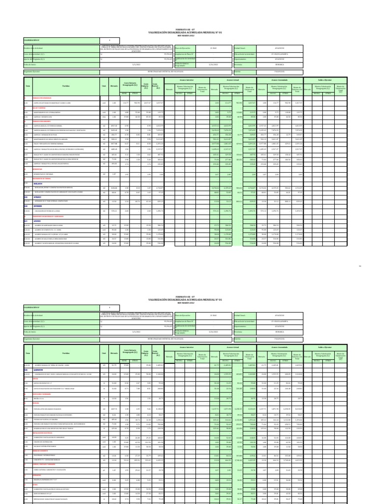 Formatos Oe - 07 | PDF