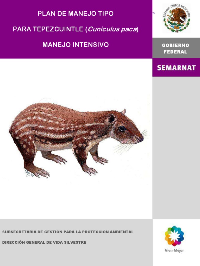 Plan Manejo Tepezcuintle | PDF | Carne | Los bosques