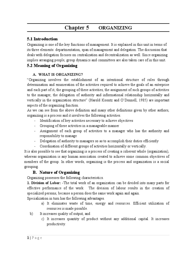 Chapter 5 Organizing | PDF | Organizational Structure | Economies