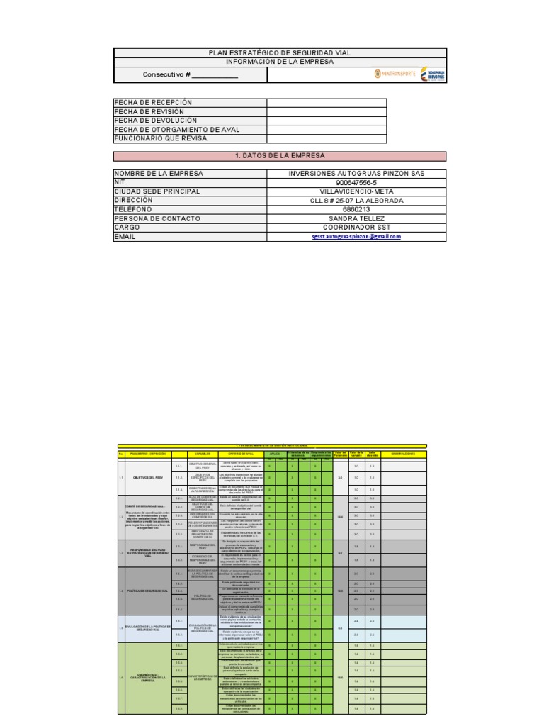 Formato Evaluacion Pesv | PDF | Business