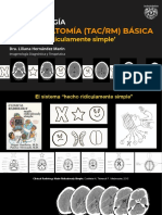 Sindromes Alternos Del Tallo Mesencefalico | PDF | Tronco encefálico ...