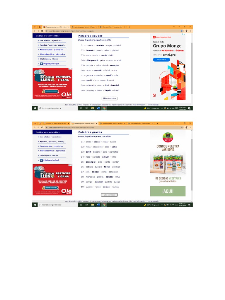 Actividad de La Unidad III Español 1 | PDF