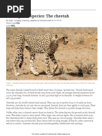 Rare White Cheetahs Explained | PDF