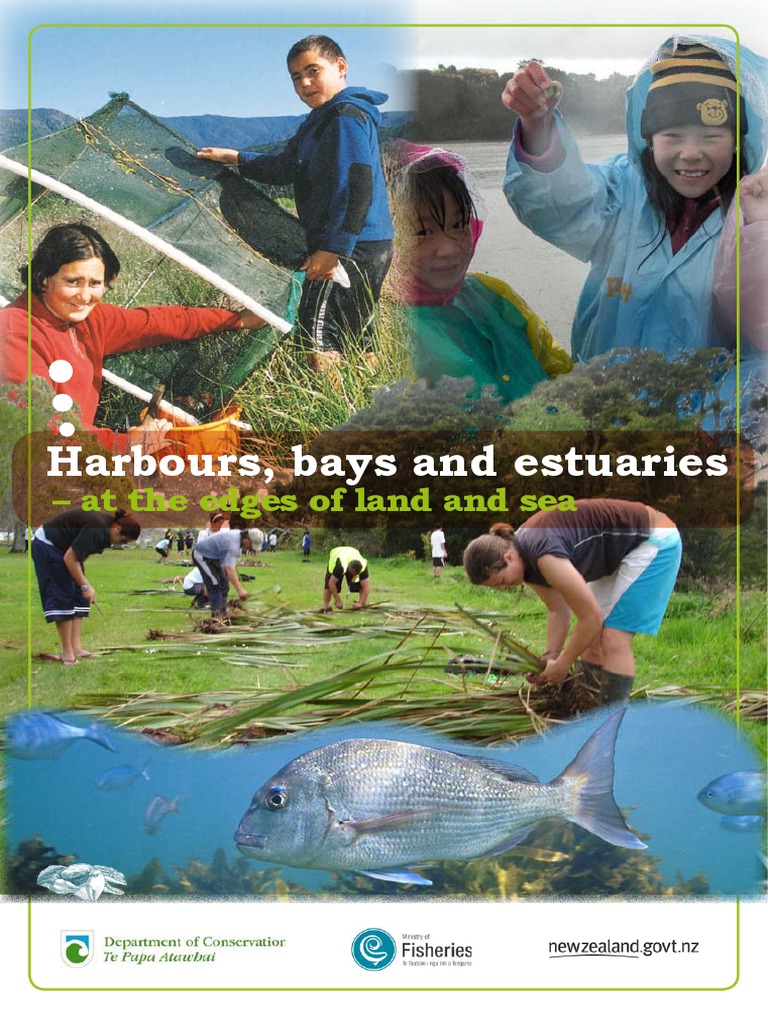 Cockles Education Resource | PDF | Bivalvia | Earth Sciences