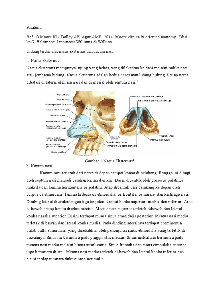 Rhinitis Akut Anatomi, Diagnosis | PDF