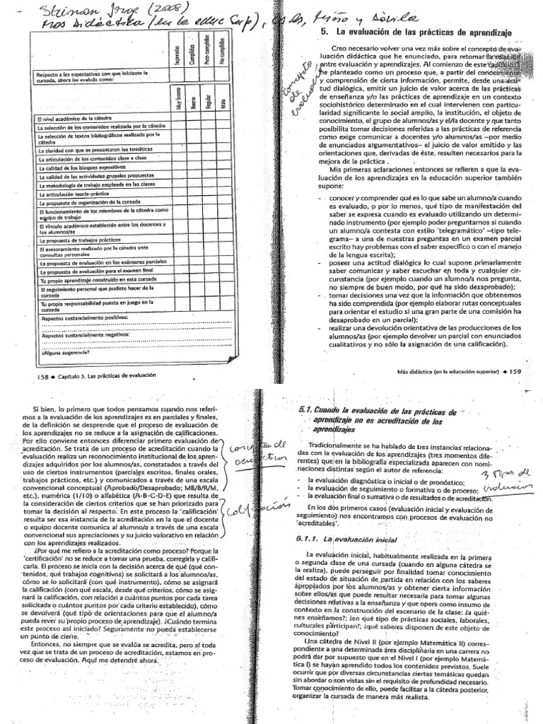 Steiman - Más Didáctica (Evaluación) | PDF