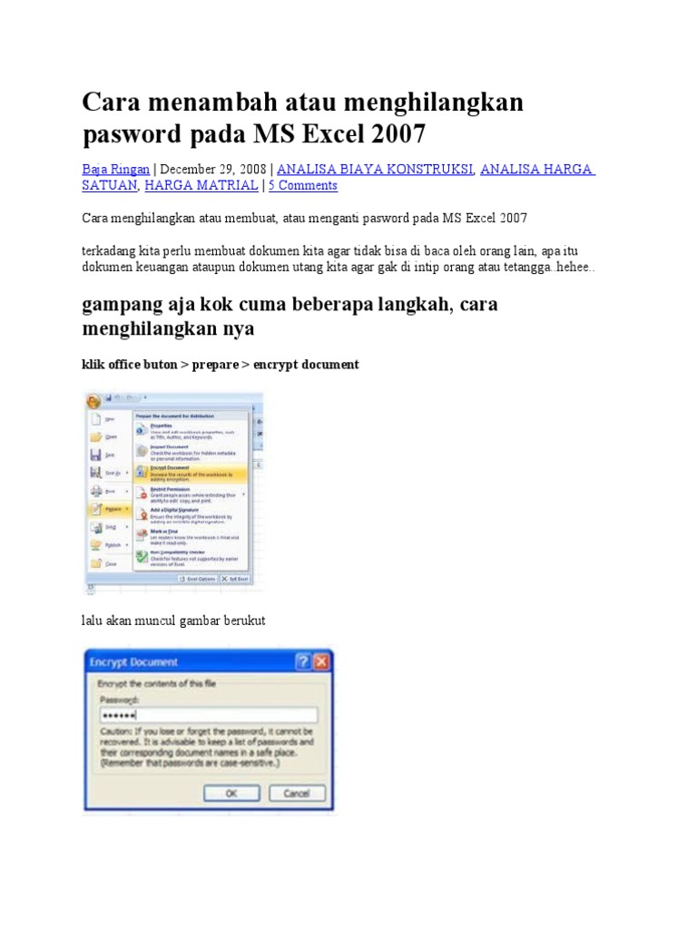 Cara Menambah Atau Menghilangkan Pasword Pada MS Excel 2007 | PDF