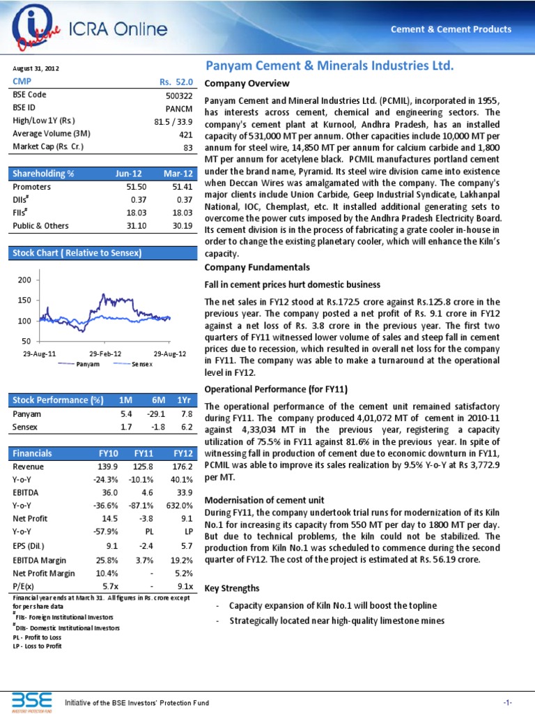 Panyam Cement & Minerals Industries LTD.: Company Overview | PDF ...