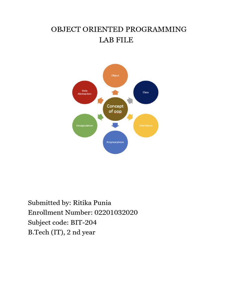 Object Oriented Programming Lab File Pdf C Inheritance Object 5188
