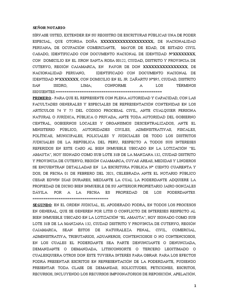Minuta - Poder Especial Sobre Propiedad. | PDF | Propiedad | Perú