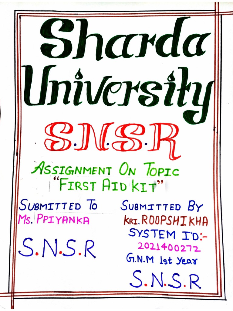 First Aid Kit Assignment | PDF