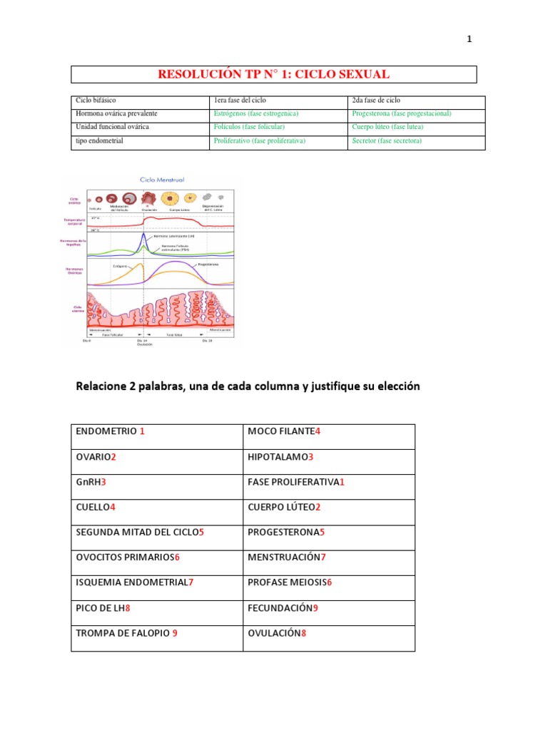 TP 0 Ciclo Sexual Resuelto1 FSH UNLAM | PDF | Ciclo menstrual | Hormona ...