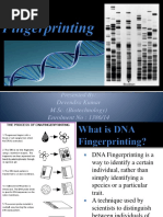 Dna Fingerprinting Bio Project | PDF | Dna Profiling | Dna