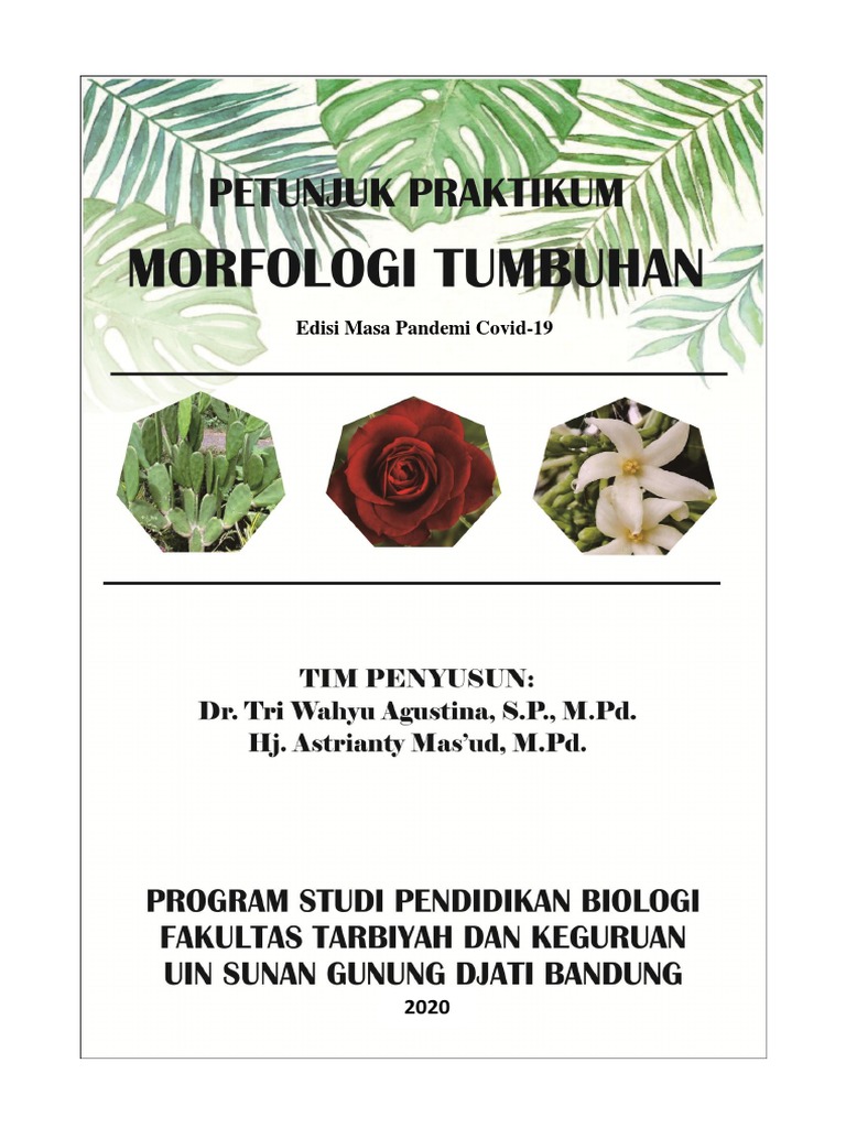 MODIFIKASI DAUN | PDF