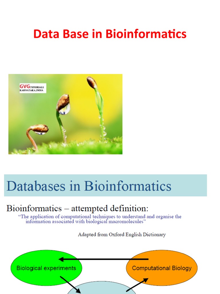Data Base in Bioinformatics | PDF | National Center For Biotechnology ...