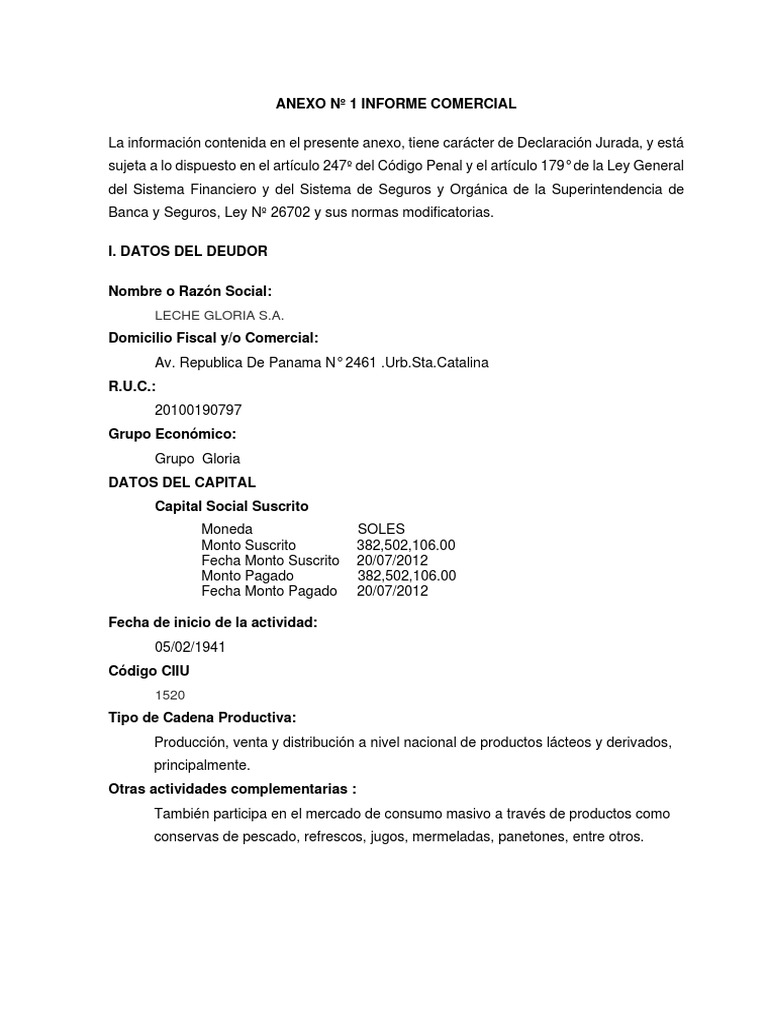 Informe Comercial | PDF | Servicios financieros | Business