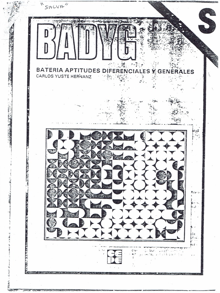 Badyg S Bateria | PDF
