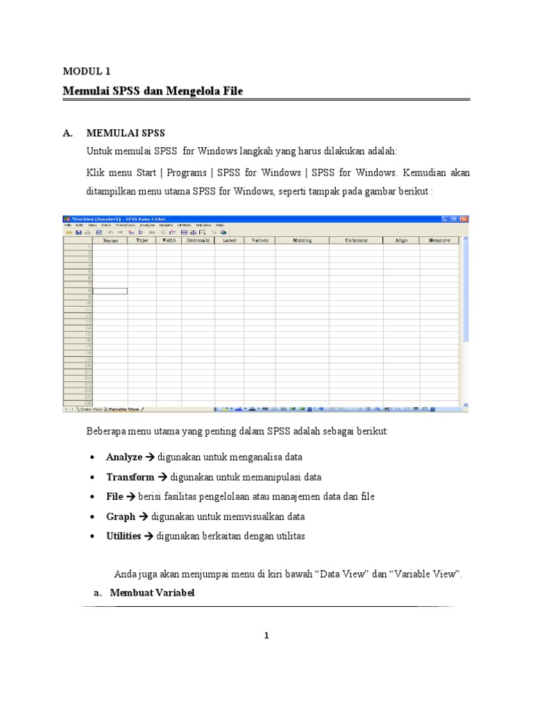 Modul Pelatihan SPSS | PDF