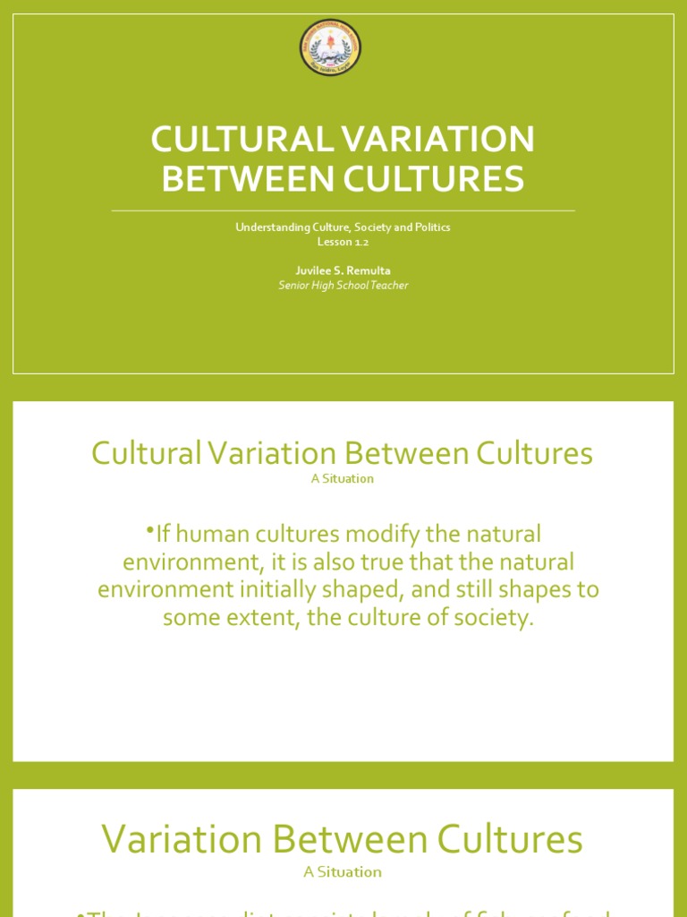 Cultural Variations Between Cultures | PDF | Counterculture | Hanukkah