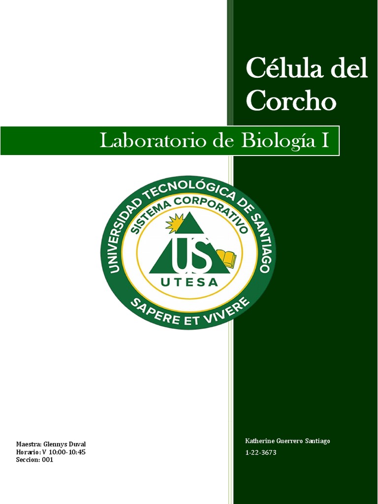 Celula Del Corcho | PDF