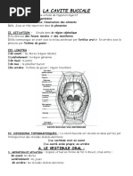 Anatomie et Fonction de la Langue | PDF | Langue | Anatomie humaine